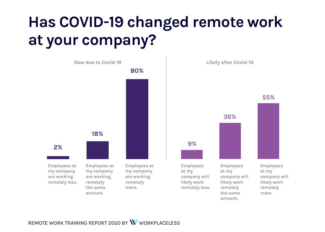 Remote Work Training Report Workplaceless